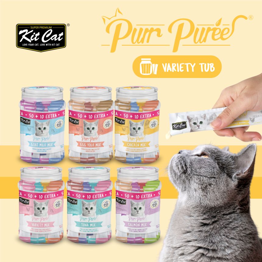 Kit Cat Purr Puree Liquid Treats for Cats – Chicken Mix (15g) | 60 ...