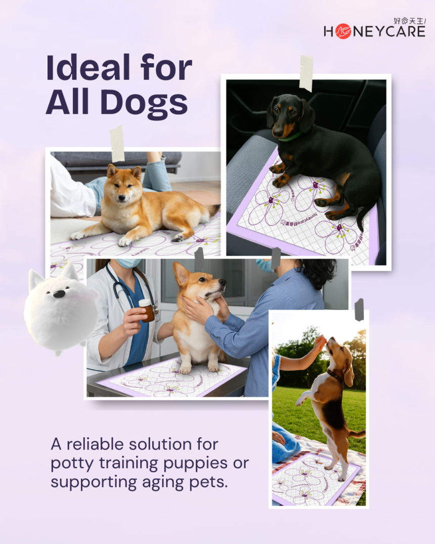 Honeycare Purple Side Leakage Prevention Pet Training Pad Large 25 pcs ...