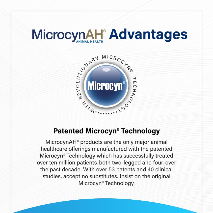 MicrocynAH Ophthalmic Gel For Dogs & Cats 100ml – Pawsonpets
