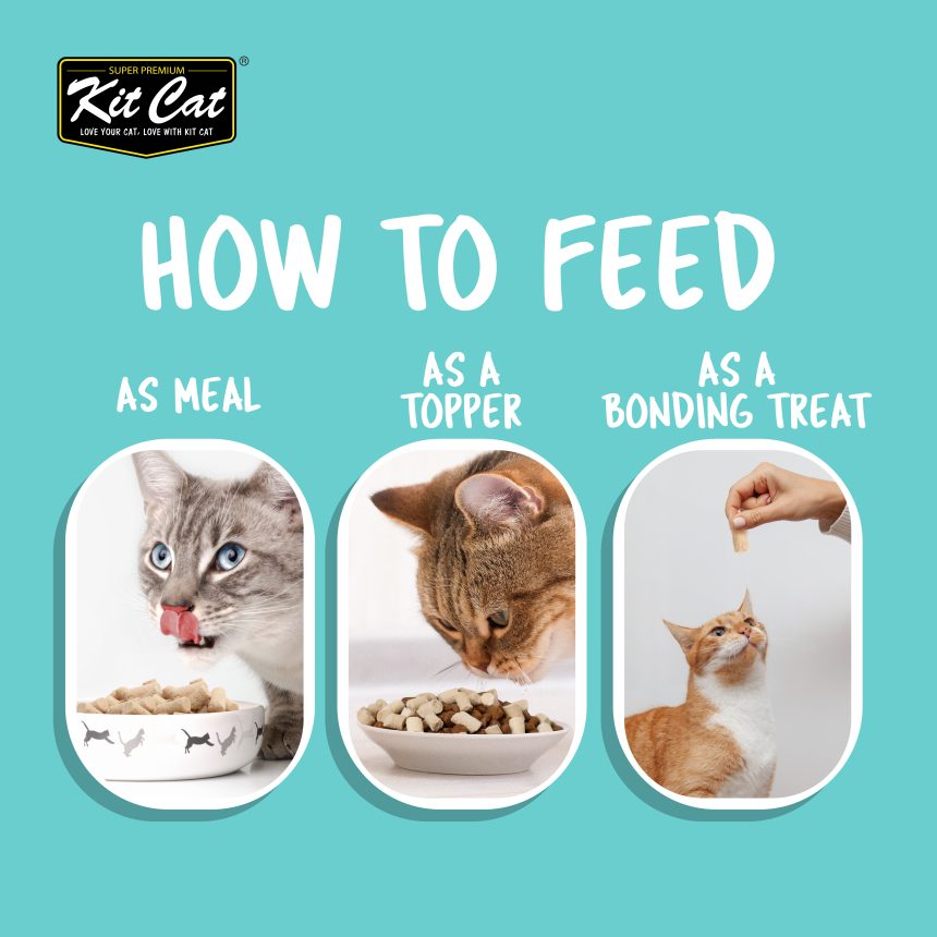 Kit Cat Freeze Bites Raw Food for Cats – Beef & Cod Fish (225g) | 15 ...